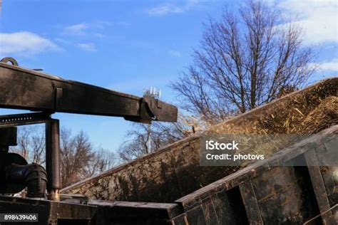 정원사를 제거 하 고 전기 톱을 운반 분쇄기 기계를 사용 하 여 나무 가지 갈기갈기 찢어진에 대한 스톡 사진 및 기타 이미지