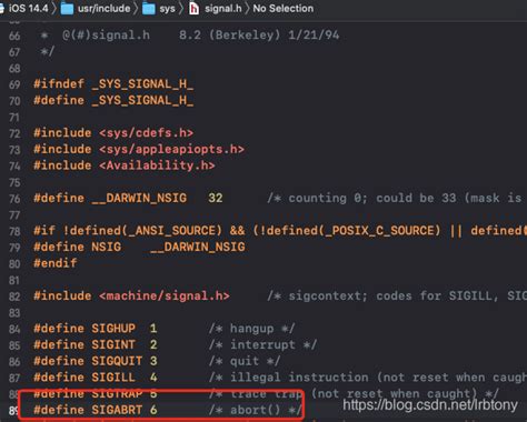 Message From Debugger Terminated Due To Signal 6 Csdn博客
