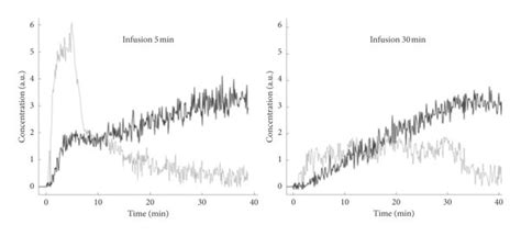 Mndpdp Myocardial Mn²⁺ Uptake In Healthy Human Volunteers [18] Mndpdp Download Scientific
