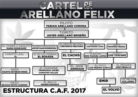 Hijos De RamÓn Y Javier Heredan Cartel De Los Arellano Felix” El