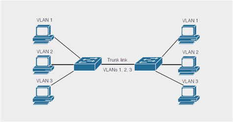 Trunk Adalah Pengertian Fungsi Dan Jenisnya Dalam Jaringan Pengajar Tekno