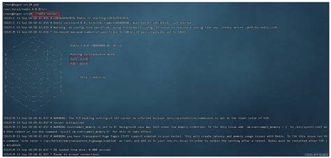 Linux常用命令操作及springboot项目的部署纯命令行部署springboot Csdn博客