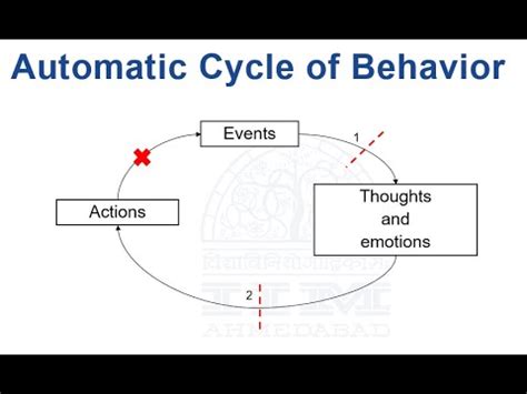 The Automatic Cycle Of Behaviour YouTube