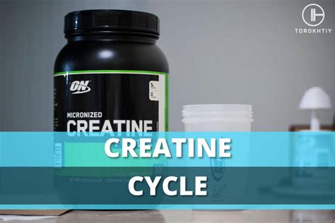 Creatine Cycle Is It Necessary For Optimal Results Torokhtiy Weightlifting