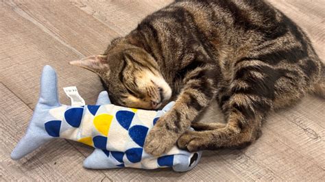 Best Catnip Toys We Tried And Tested And Are Worth It PetsRadar