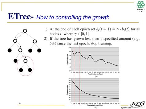 Ppt The Evolving Tree — Analysis And Applications Powerpoint