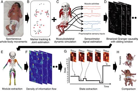 Research Overview A Motion Capture Of Infantile Spontaneous