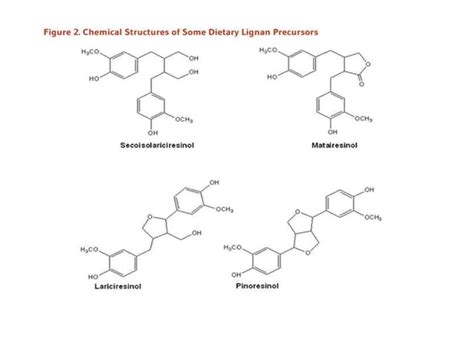 Lignans And Flavonoids Pptx