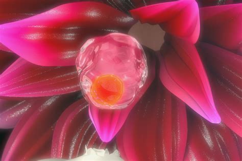 How To Use Ovulation Predictor Kits Opks To Track Fertility — Dr