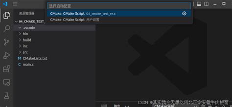 C语言 如何构建cmake项目（linuxvscode）vs Code Cmake Csdn博客