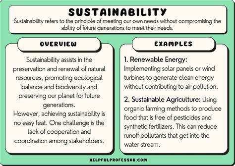 21 Sustainability Examples 2025