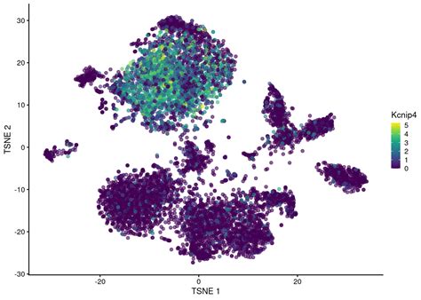 Chapter Single Nuclei RNA Seq Processing Advanced Single Cell Analysis With Bioconductor