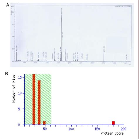Mass Spectrum Of Spot No 27 In Cerebral Mitochondria After Rats Were