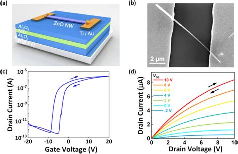 A Schematic Device Structure Of The Zno Nw Synaptic Transistor B Download Scientific
