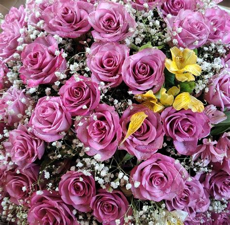 Eritrean Press Sawa The Melting Pot Of Eritrean Society Each Year From All Parts Of The