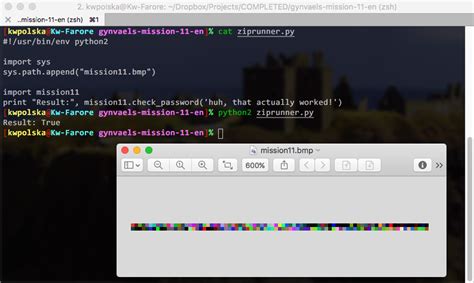 Gynvaels Mission 11 En Python Bytecode Reverse Engineering Chris