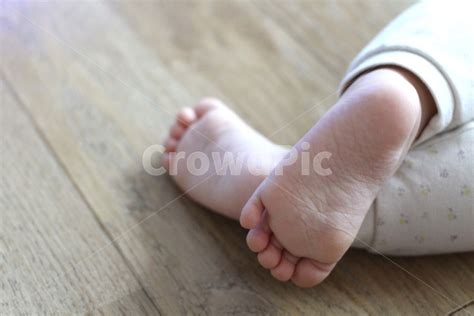 발 아기발 발바닥 발가락 작은발 사진 이미지 일러스트 캘리그라피 편집쟁이작가