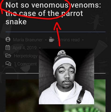 Tyler The Creator Iceberg I Made If You Have Any Questions I Can Answer Most Of Them In The