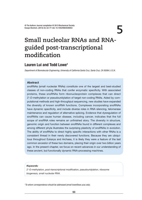 Pdf Small Nucleolar Rnas And Rna Guided Post Transcriptional Modification
