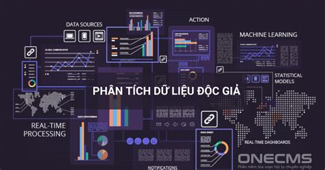 Tầm Quan Trọng Của Phân Tích Dữ Liệu độc Giả Onecms