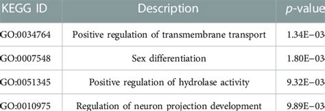 The Functional Enrichment Analysis Of The Expanded And Contracted Gene
