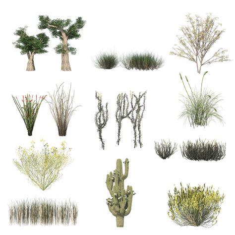 Artstation Rigged Low Poly Xerophytic Plants And Trees Resources