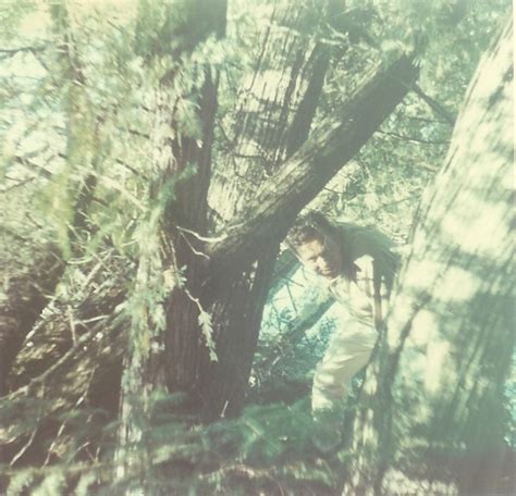 Dad In Trees WanderfullTravel