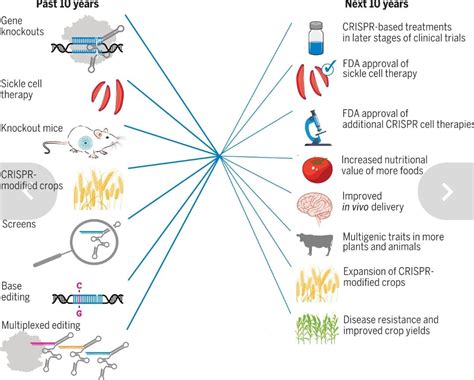 Crspr Technologies And A Decade Of Genome Editing Rchemistry