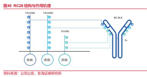 023全球top100药品领域分布（按销售额分） 2024年06月 行业研究数据 小牛行研