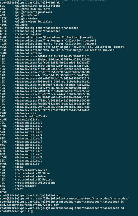 Transcoding Not Working Correctly Rjellyfin