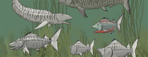 Speculative Evolution Noah Creutziger