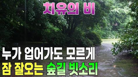 누가 업어가도 모르게 잠 잘오는 숲길 빗소리 불면증과 이명 치료를 위한 빗소리 백색소음 Youtube