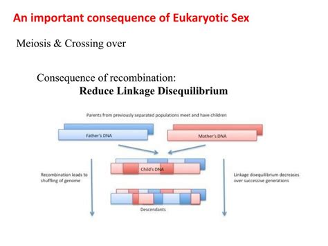 Ppt Genetic Variation The Genetic Substrate For Natural Selection