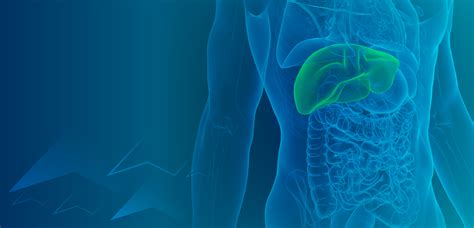 Overview Of RCC Clear Cell And Nonclear Cell CancerNetwork