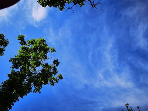 人抬头看天空 抬头看天的人 人抬头看天空的图片 第3页 大山谷图库