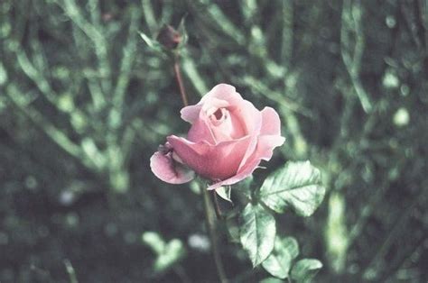 Наталья Баранова ВКонтакте