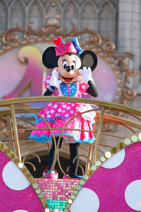 Rabbit In Dawn 今年度の抱負