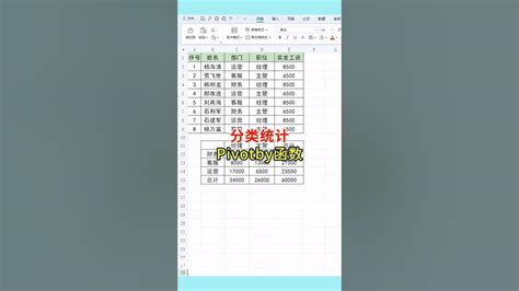 分类统计数据，比透视表还好用的函数，pivotby函数！excel Wps 文员 0基础学电脑 函数 Youtube
