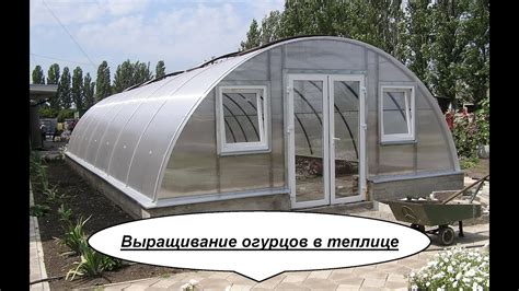 Выращивание огурцов в теплице. Теплица из поликарбоната. Бизнес идея ...