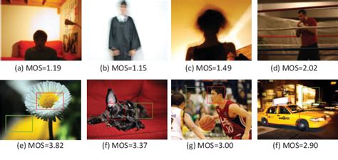 Figure 1 From Saliency Guided Transformer Network Combined With Local Embedding For No Reference