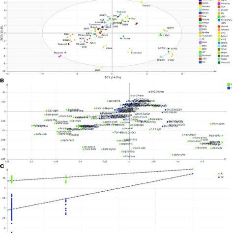 Partial Least Square Discriminate Analysis Pls Da Showing A Better