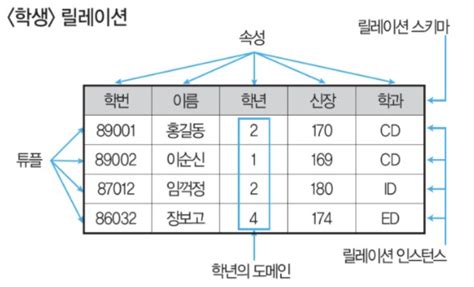 데이터베이스의 기본 개념