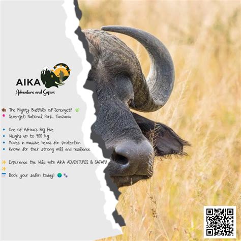 Aika Safaris Aikaadventure • Instagram Photos And Videos