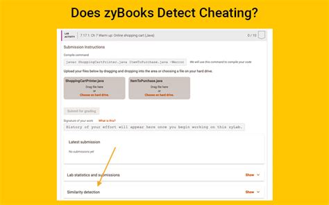 Best Zybooks Answers And Homework Help For Top Grades