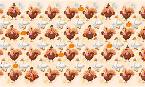 Spot The Odd Challenge Can You Spot The Odd Ones Out In The Image In