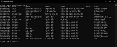 My First Day Of Learning Docker DEV Community