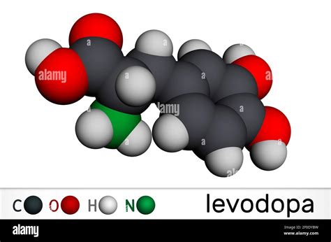 Levodopa To Dopamine