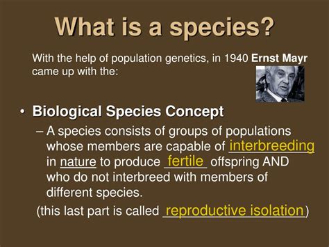 Ppt Macroevolution And Speciation Powerpoint Presentation Free Download Id 6578188