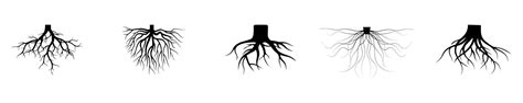 Tree Roots Vector Icon Illustration Design Template Vector Art At Vecteezy