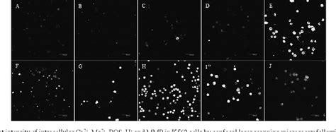 Figure 3 From The Novel Selenium Heteropoly Compound Nh₄ ₄h₄[se₂mo₂v₄o₂₄]·7h₂o Induces